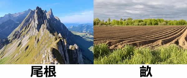 ridgeの覚え方・意味・発音・例文 | 英単語は語呂で覚える！ごろたん